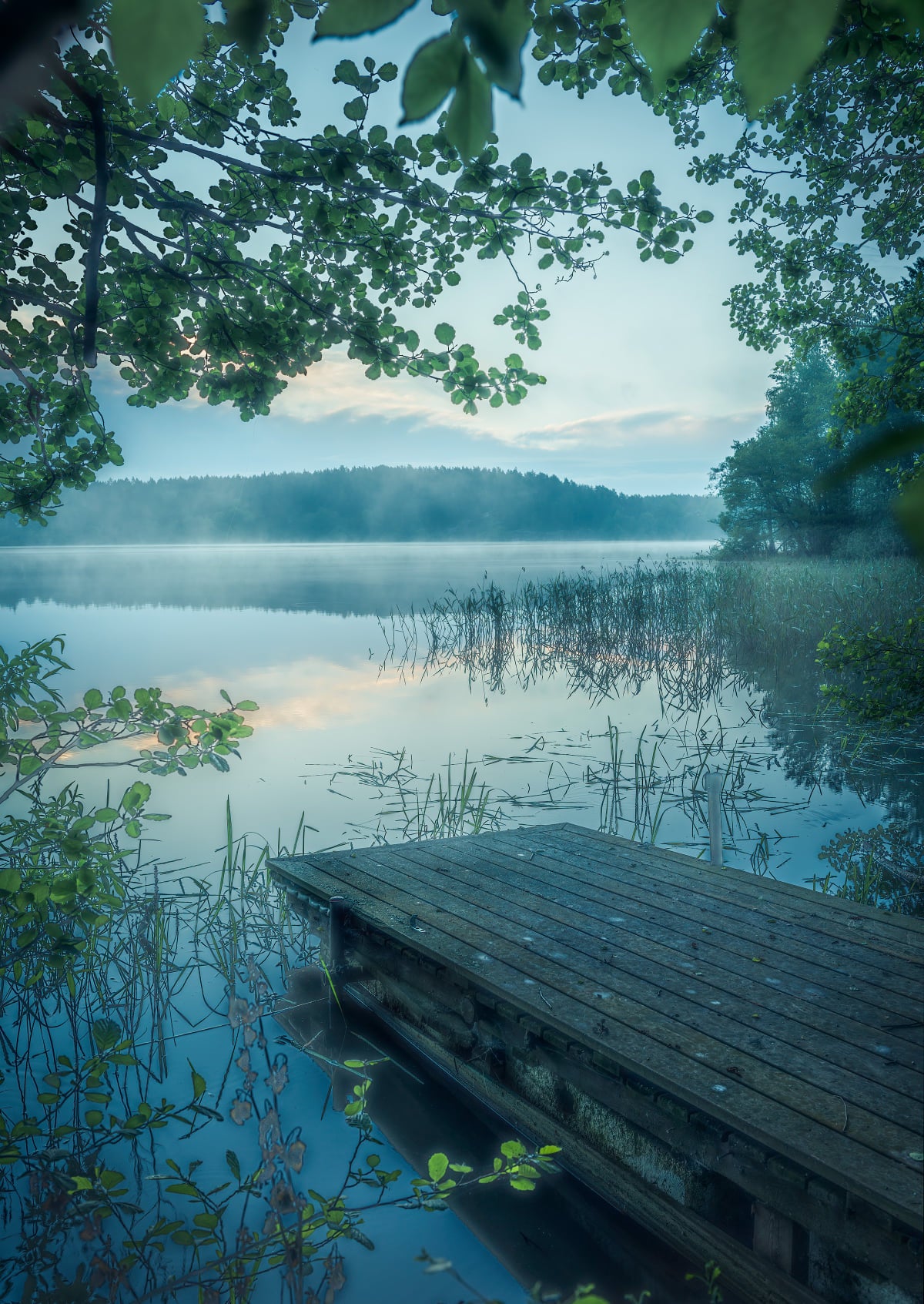 Stock refill – Forest Spirit Shop